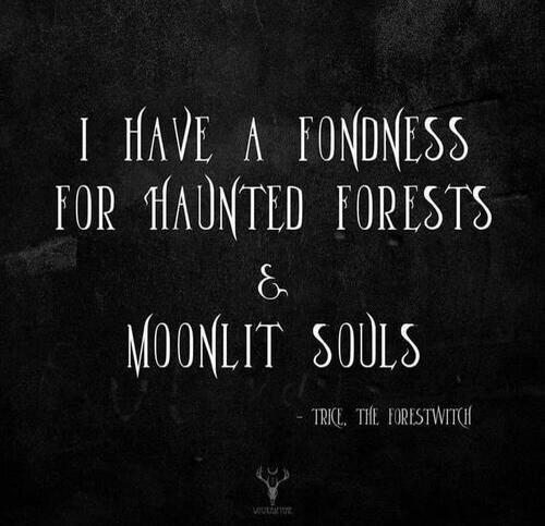 Sagi Writes - poet at allpoetry