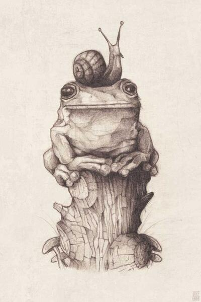 Toad Poems - Modern Award-winning Toad Poetry : All Poetry
