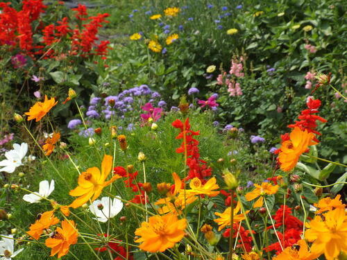 Evolution - a poem by Big E2 - All Poetry