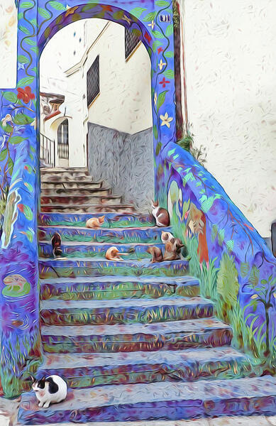 Morocco Poems - Modern Award-winning Morocco Poetry : All Poetry