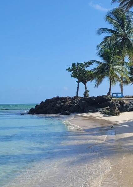 Caribbean Poems - Modern Award-winning Caribbean Poetry : All Poetry