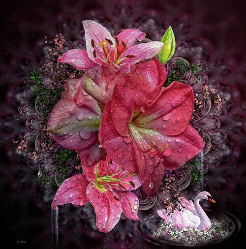 Lily Poems - Modern Award-winning Lily Poetry : All Poetry