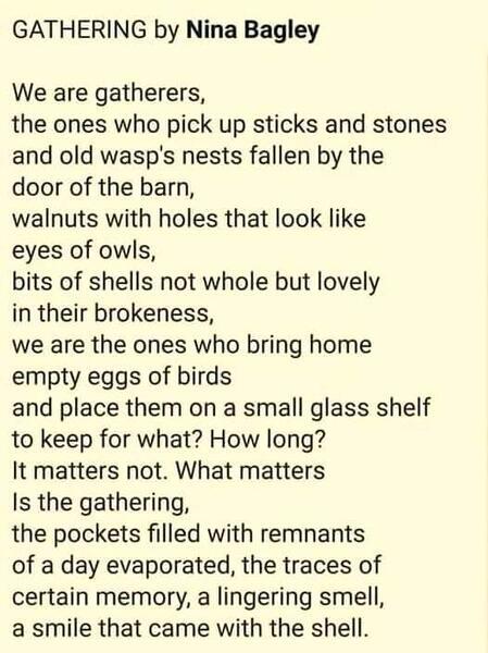 [ 'bits of Shells' ] - a poem by Shanon Norman - All Poetry