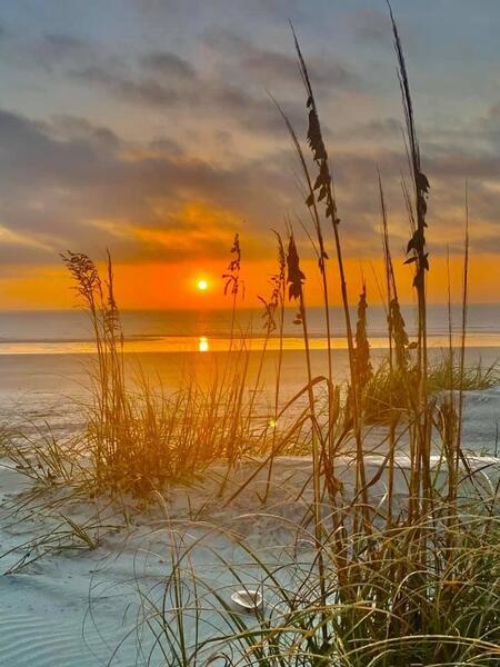 When Dreams Come True - a poem by Florida Joe - All Poetry