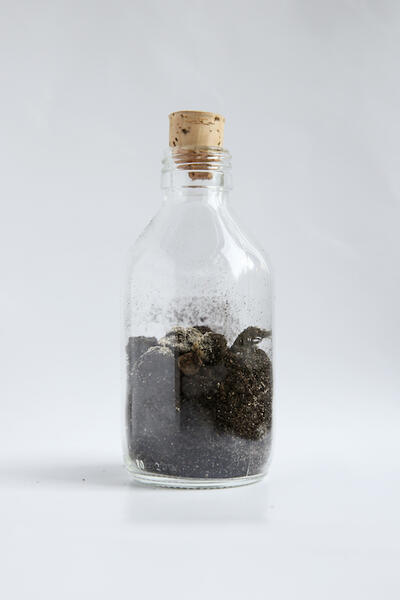 Potatoes Poems - Modern Award-winning Potatoes Poetry : All Poetry