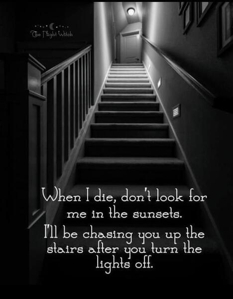 Fireflies In The Garden Poem