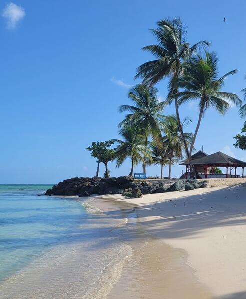 Caribbean Poems - Modern Award-winning Caribbean Poetry : All Poetry