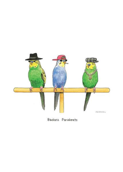 Parrots Poems - Modern Award-winning Parrots Poetry : All Poetry