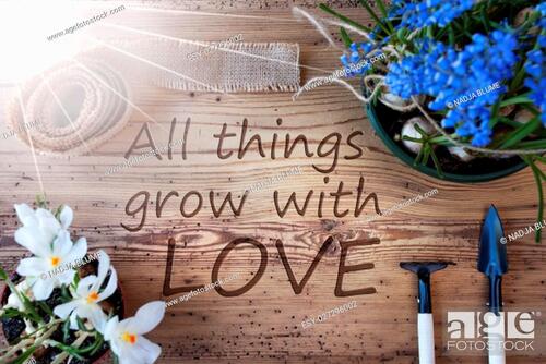 Let Us Let Our Love Grow - a poem by Seah Ray - All Poetry
