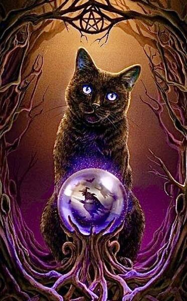 [ Psychic Cat with her Crystal Ball ] - a poem by Mel is Carmela - All ...