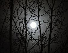 Werewolves Poems - Modern Award-winning Werewolves Poetry : All Poetry