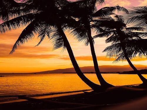 Hawaii Poems - Modern Award-winning Hawaii Poetry : All Poetry