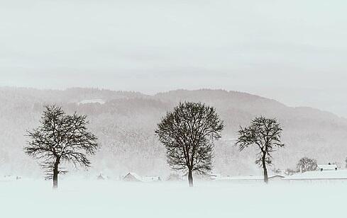 Winter Haiku - a poem by D G Moody - All Poetry