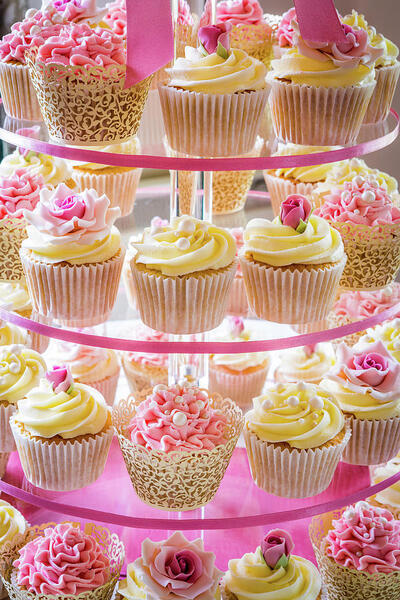 Cupcake Poems - Modern Award-winning Cupcake Poetry : All Poetry