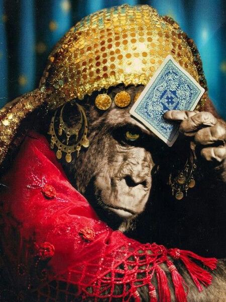Madame Em Mysterious Fortune Teller - a poem by PinkFaerie5 - All Poetry
