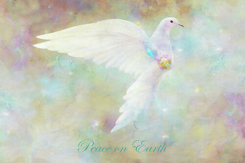 Dove Poems - Modern Award-winning Dove Poetry : All Poetry