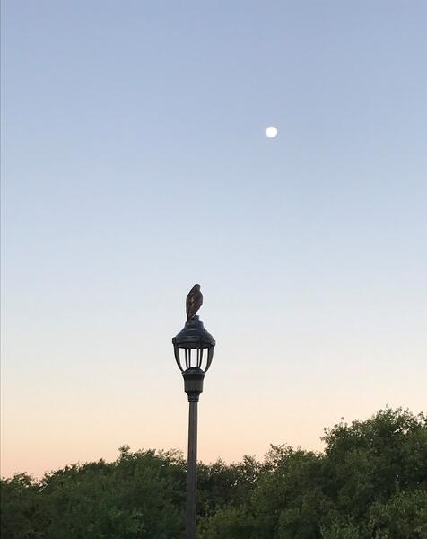 Phases - a poem by D C Roy - All Poetry