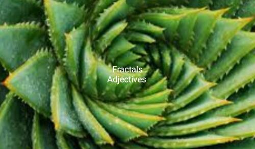 Dynamics of Metaphase & Fractals - a poem by Lateral Learner8 - All Poetry