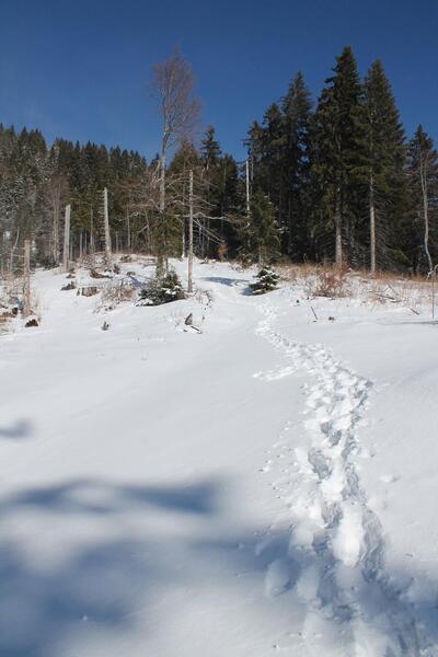 My way Poems - Modern Award-winning My way Poetry : All Poetry