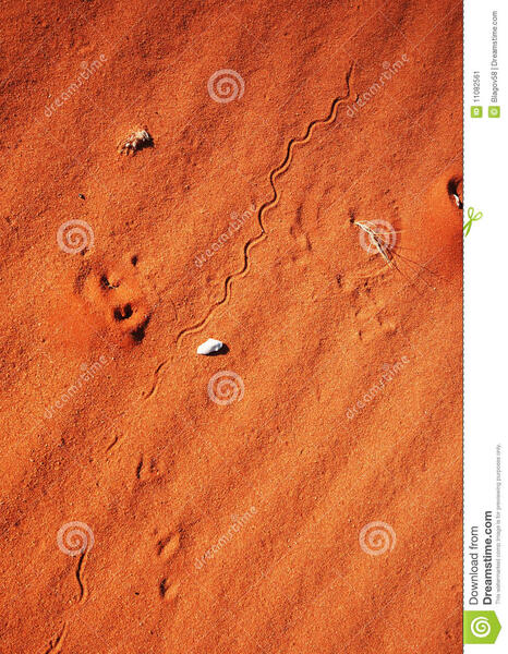 Timothy Savage - poet at allpoetry