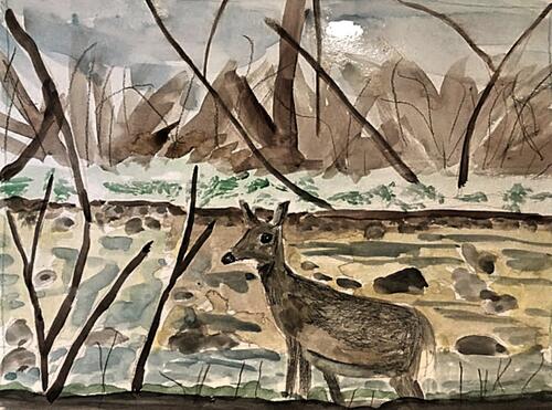 Deer Poems - Modern Award-winning Deer Poetry : All Poetry