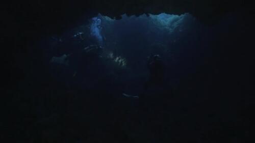 Underwater Poems - Modern Award-winning Underwater Poetry : All Poetry