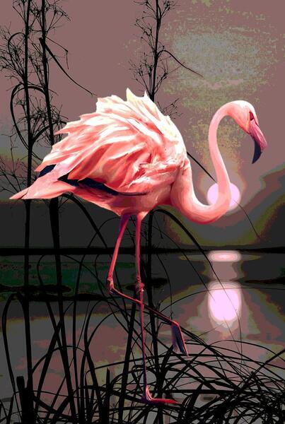 Flamingo Poems - Modern Award-winning Flamingo Poetry : All Poetry