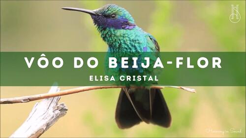 Brazil Poems - Modern Award-winning Brazil Poetry : All Poetry