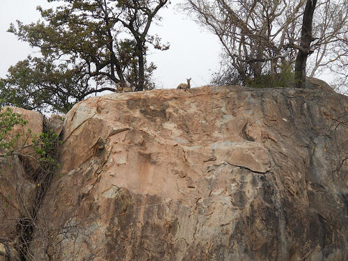 Photography Poems - Modern Award-winning Photography Poetry : All Poetry