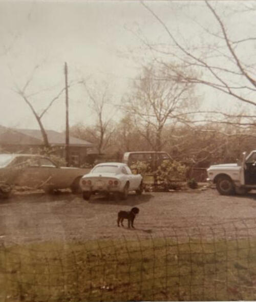 Contest / photo from the 60s/70s by Verrsailles.poetry : All Poetry