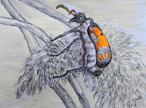 Beetles Poems - Modern Award-winning Beetles Poetry : All Poetry