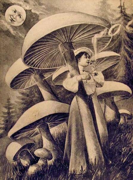 Smoking Poems - Modern Award-winning Smoking Poetry : All Poetry