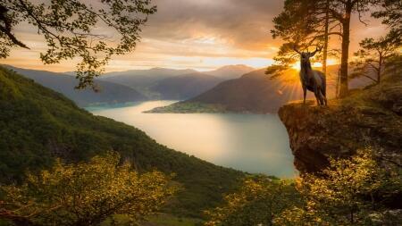 Stag Poems - Modern Award-winning Stag Poetry : All Poetry