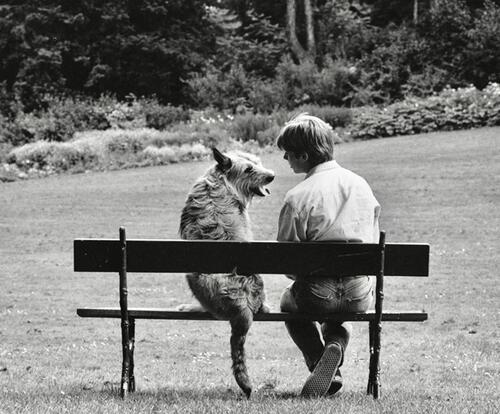 Jeffrey Pipes Guice - poet at allpoetry