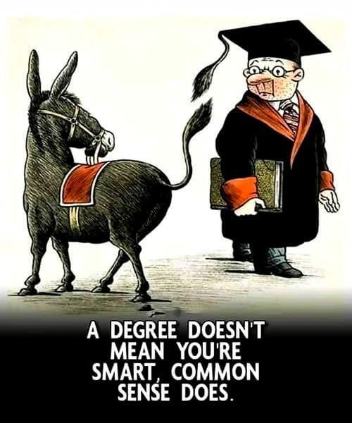 'Mule' it Over - a poem by Amit Chau - All Poetry