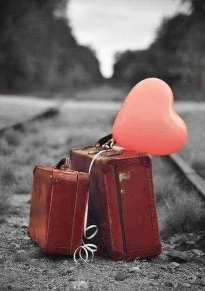 Two paths become one - a poem by Nunoftferreira - All Poetry