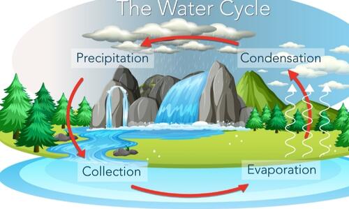 The water cycle - a poem by leerobertpoole - All Poetry