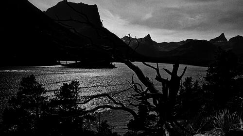 The Fallen - a poem by Rory Duce - All Poetry