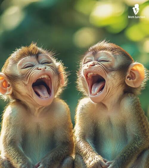 Eavesdropping Monkeys heard the chat with the Lizard - a poem by Shanon ...