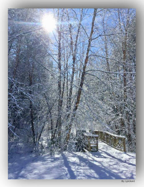 Refreshing - a poem by Wilapics Art - All Poetry