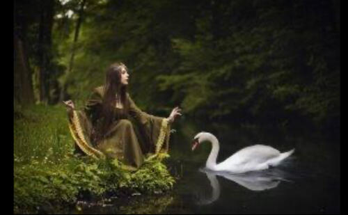 Emerald Swan - a poem by LotusPainted - All Poetry