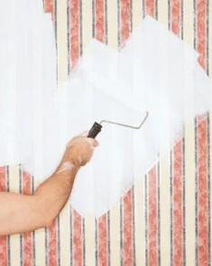 If These Walls Could Speak - a poem by Alison Sattler - All Poetry