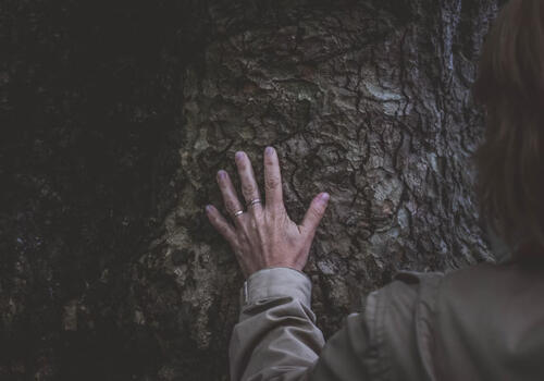 Dare to Touch the Trees - a poem by MotherGoose - All Poetry