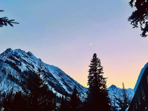 The Season of In-Betweens - a poem by Lichen and Listening - All Poetry