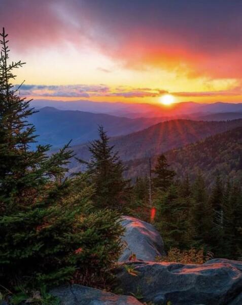 The Lumberjack - a poem by ChronicOverthinker - All Poetry