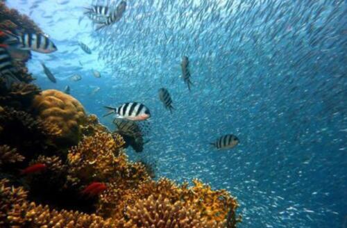 The Ocean's Promises - a poem by DQ Love Yvette - All Poetry