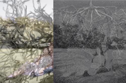 Rooted - a poem by Roxanne Stone - All Poetry