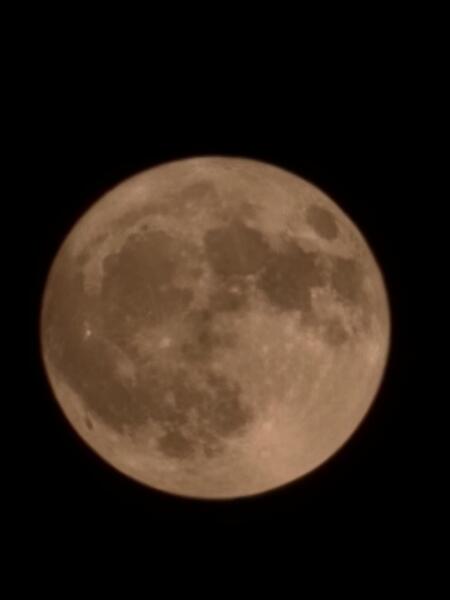 Desired and Defiant: An Ode to Mrs. Moon - a poem by Denali Aiyana ...