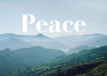 Peace Stories - Modern Award-winning Peace Short Stories : Story Write