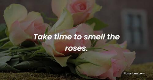 I Stop and Smell the Roses - a poem by Lin Lane - All Poetry